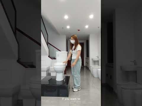 The Power of Porcelain: Why Ceramic Toilets Reign Supreme