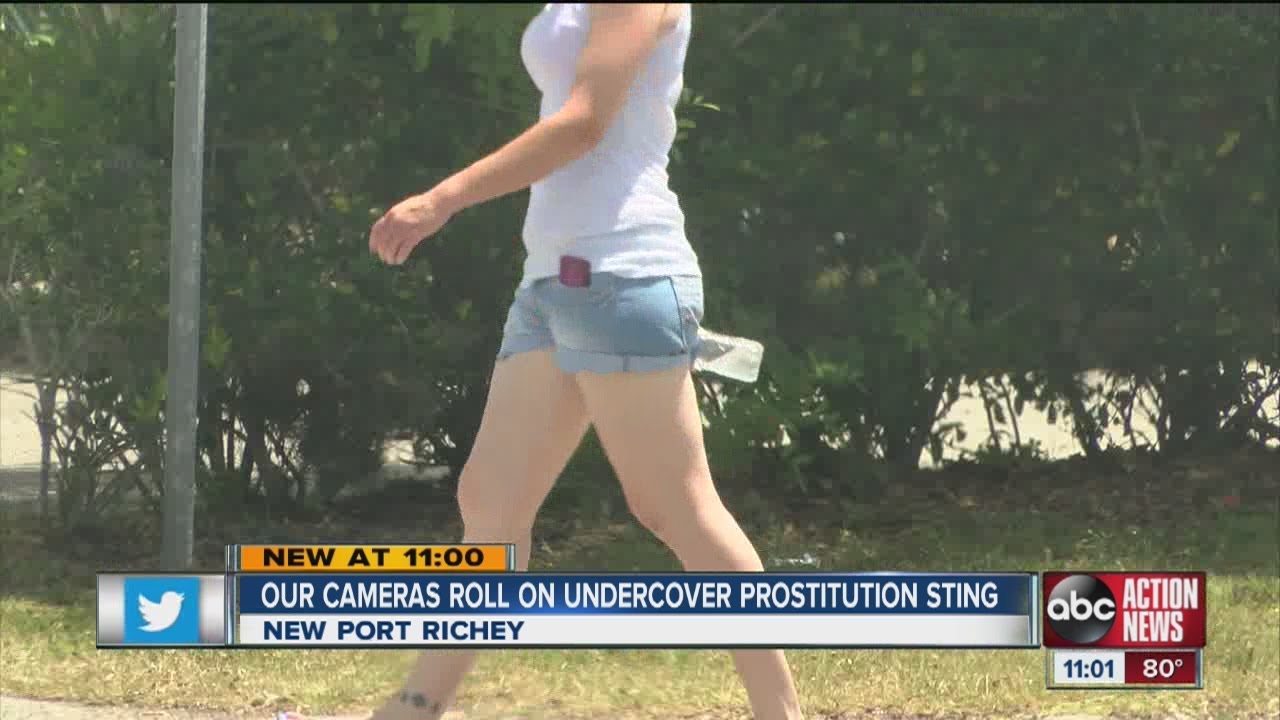 New Port Richey undercover prostitution sting