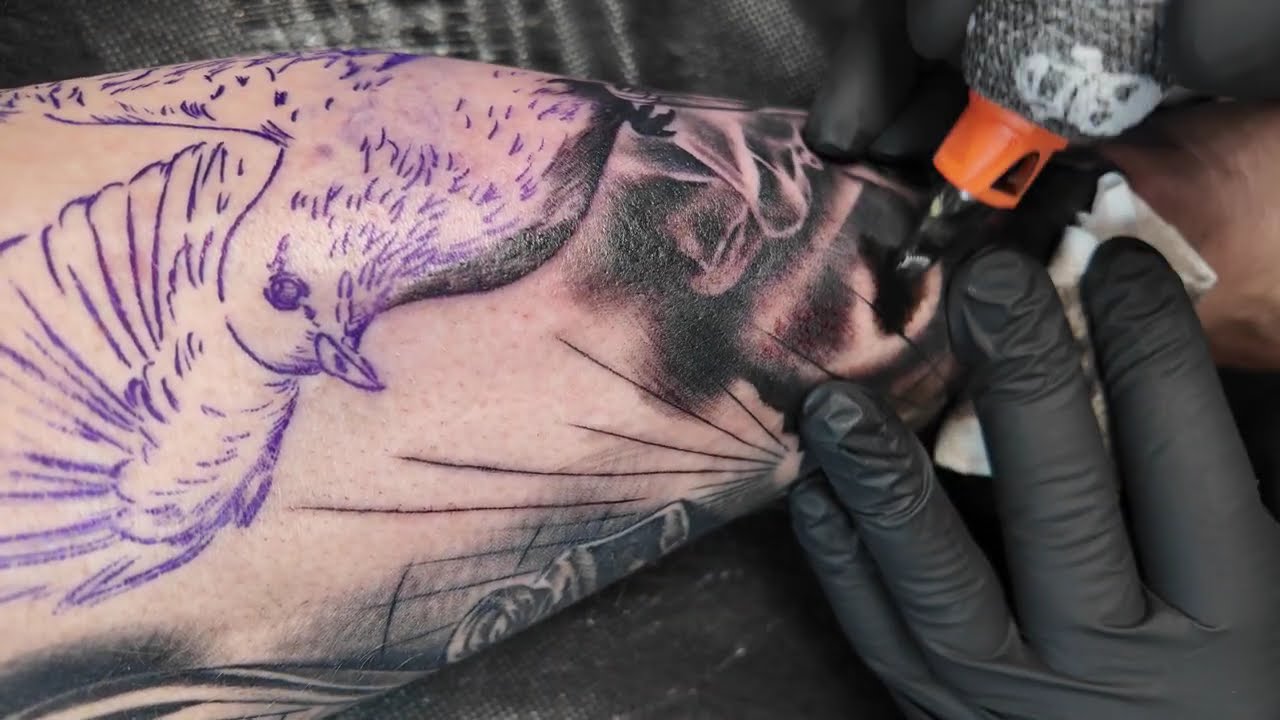 DOVE B&G TATTOO