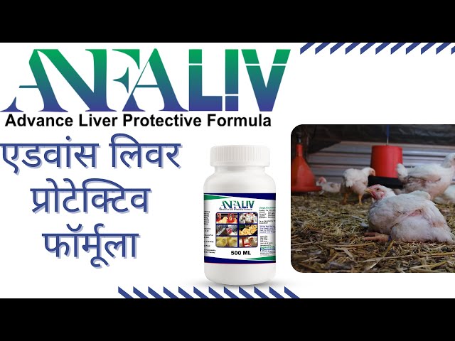 Poultry Medicines - Poultry Egg Enhancer Supplement (ovimin) Trader ...