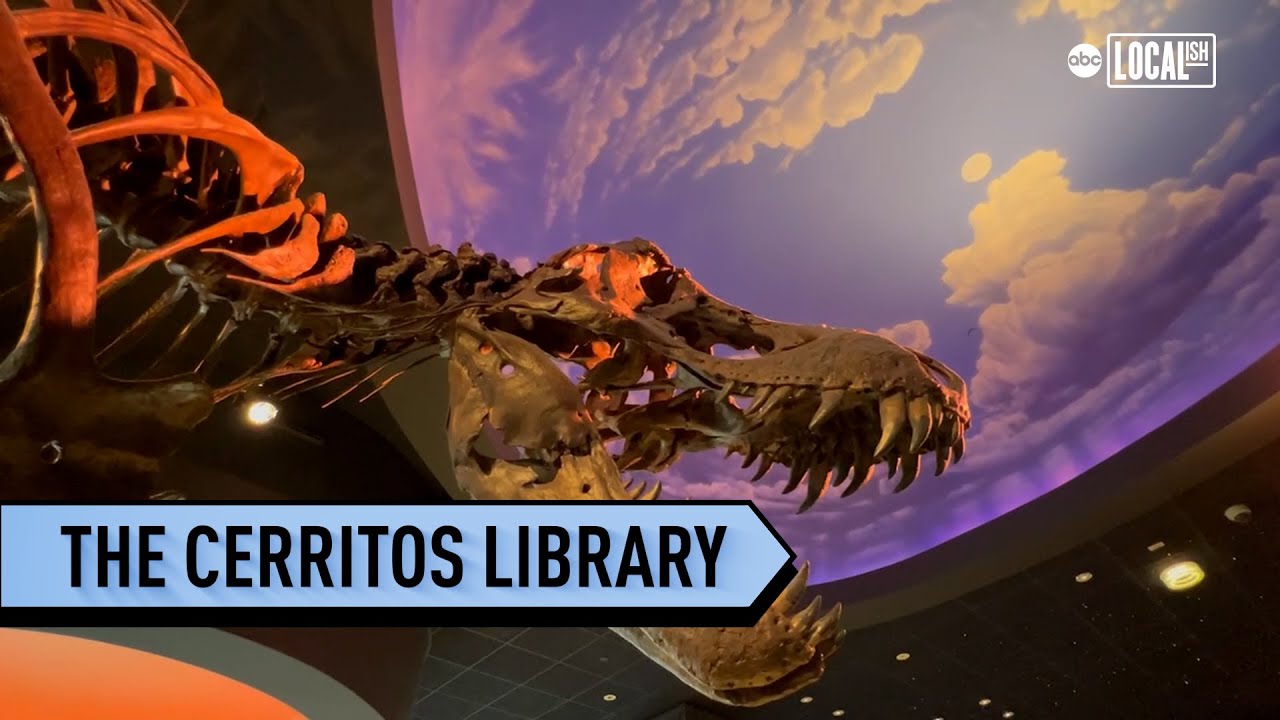 Cerritos Library is one of the most unique and immersive libraries in the world
