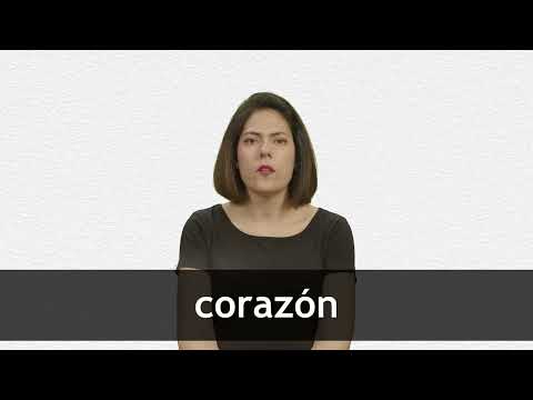 English Translation of “CORAZÓN” | Collins Spanish-English Dictionary