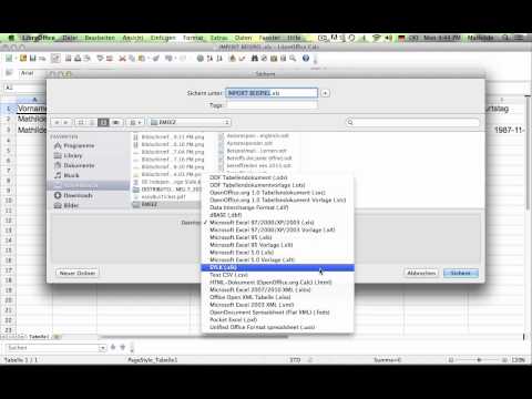 Umwandeln xls zu csv Datei