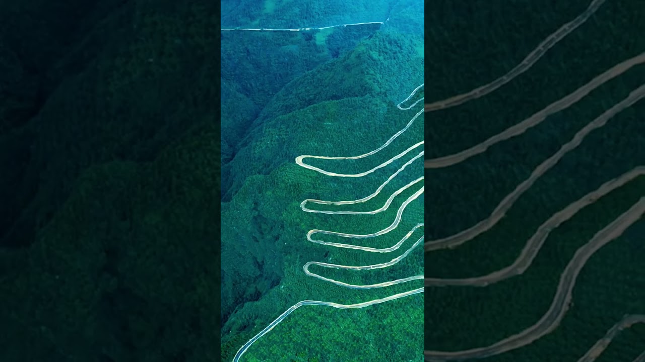 Sichuan Tourism Official Channel