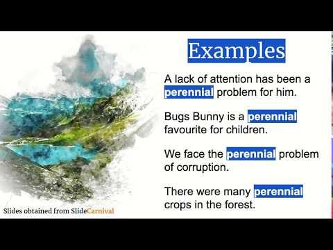 Perennial Meaning