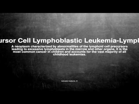 Medical vocabulary: What does Precursor Cell Lymphoblastic Leukemia-Lymphoma mean