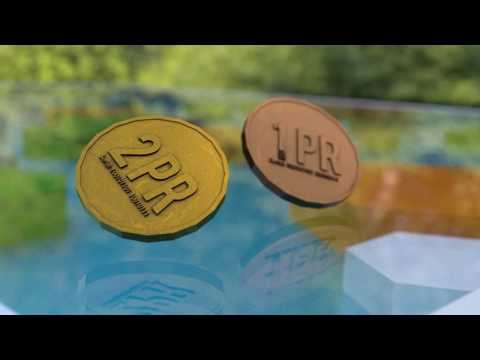 What is Para?
