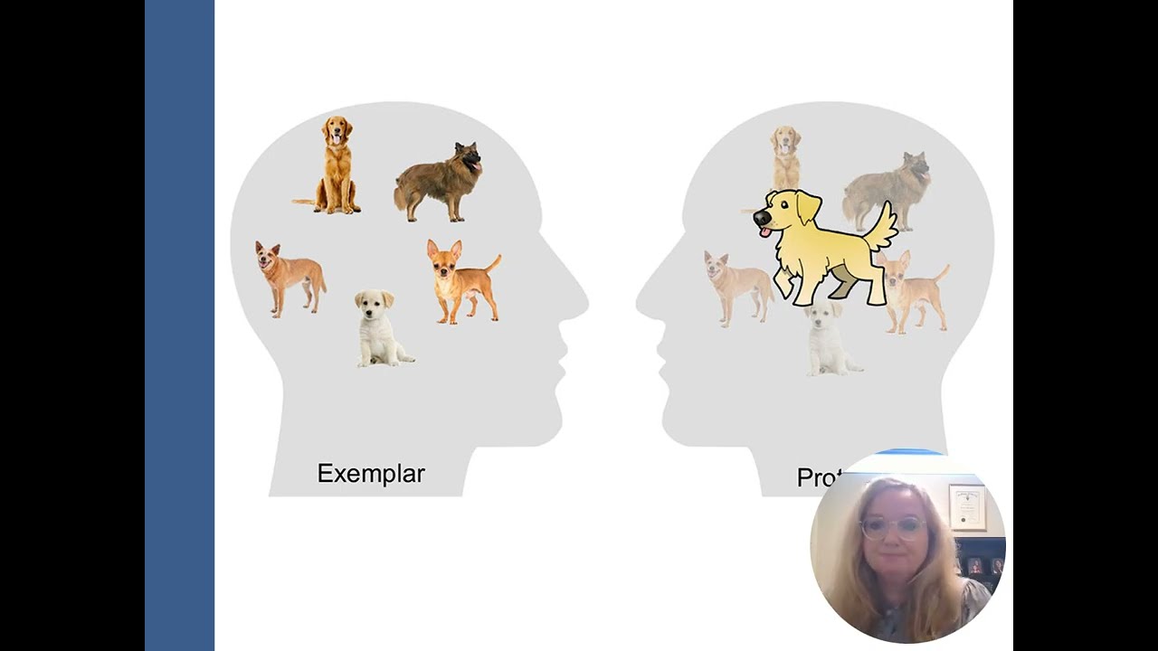Cognitive Processes Chapter 3: Perception