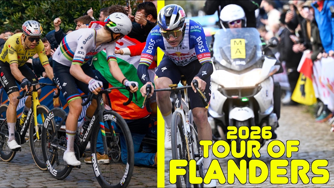 BEWILDERING Tactics at Flanders 2026
