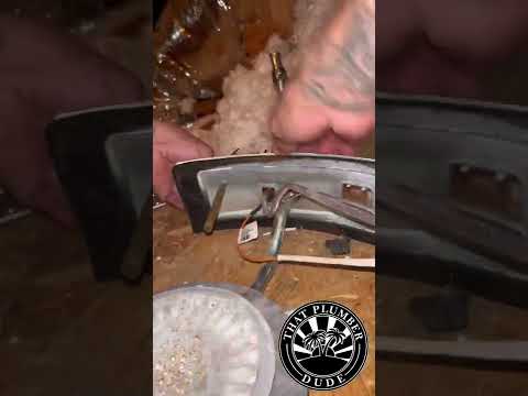 Pilot Assembly Replacement | AO Smith | Plumbing Clip