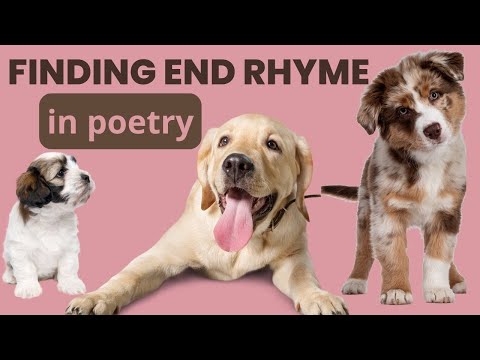 Practice Rhyme | Middle and High School Students