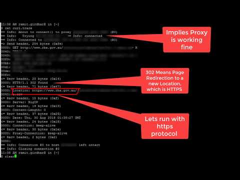 CURL - Test/Debug a URL in Linux/Unix with Proxy