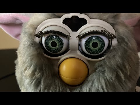 How to take care of your 1998 Furby