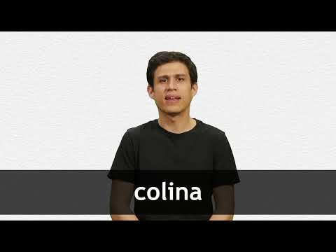 English Translation of “COLINA” | Collins Spanish-English Dictionary