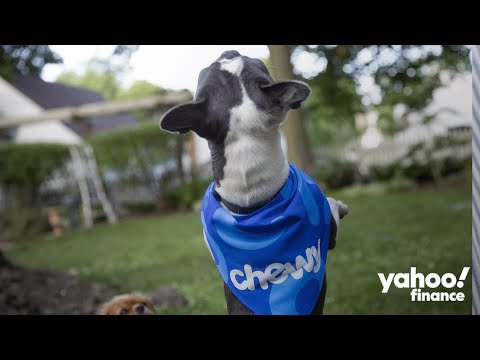 Wedbush upgrades Chewy stock, citing steady demand in 2023