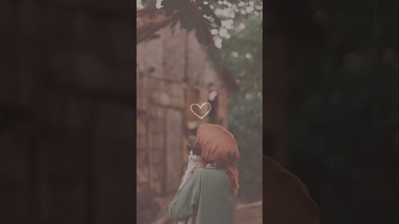 Aesthetic 💞 girl dpz 💞#viral #trending #viral #dpz #trending @shahaesthetics_24