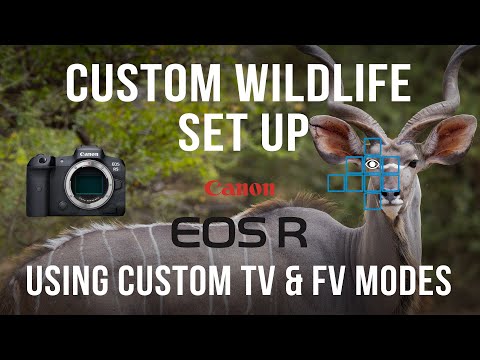 Canon R5 & R6: Shooting mode setup for wildlife photography (4147C002)