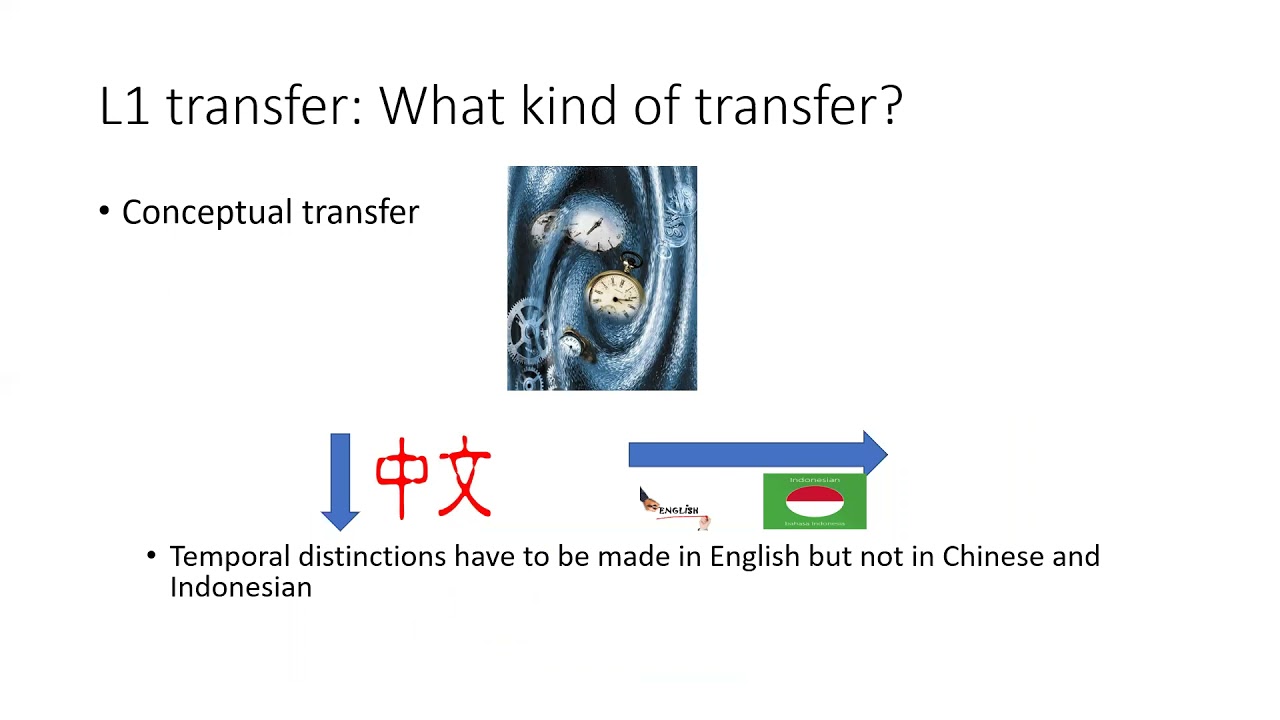 First language transfer - Conceptual transfer