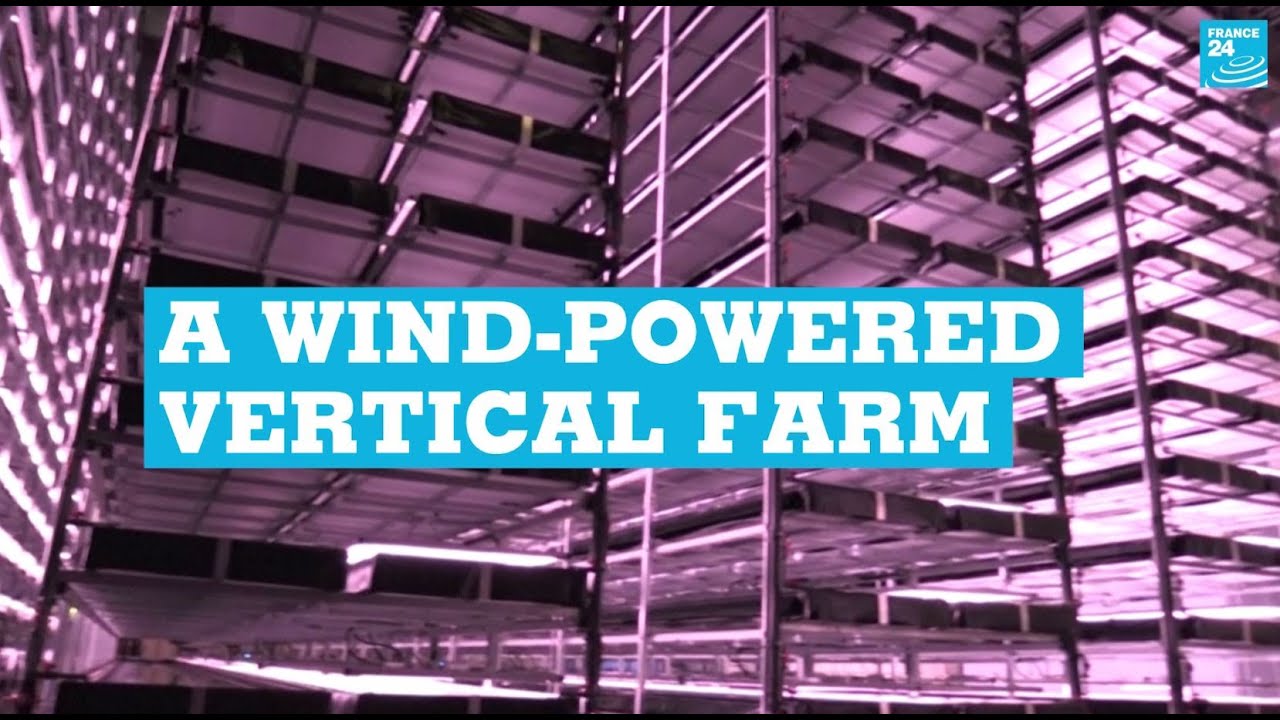 A wind-powered vertical farm: Giant urban farm opens in Denmark