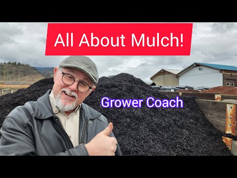 Expert Mulching Tips!: What you should know.