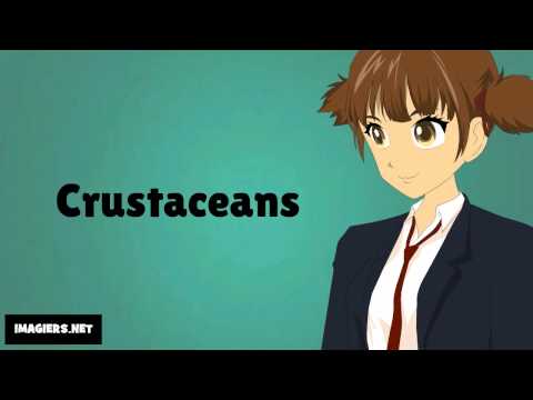 How to pronounce # Crustaceans
