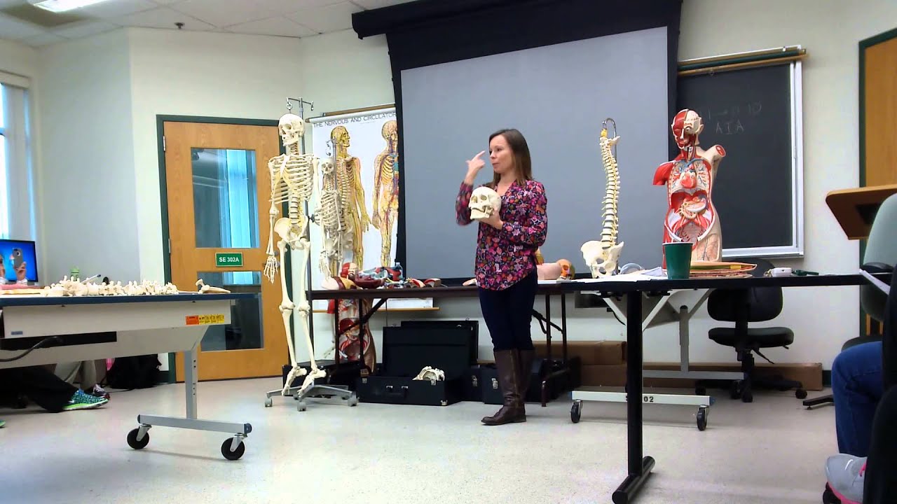 BIO 121 Final Review 1