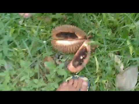 ngejenguk sodara di rumah sakit