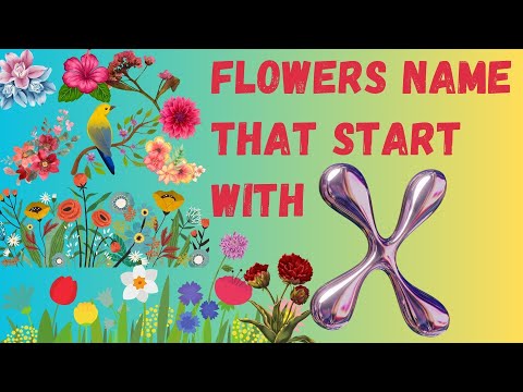 Flowers Name that Start With "X" | List of Fruits that Start With X | Things To Know