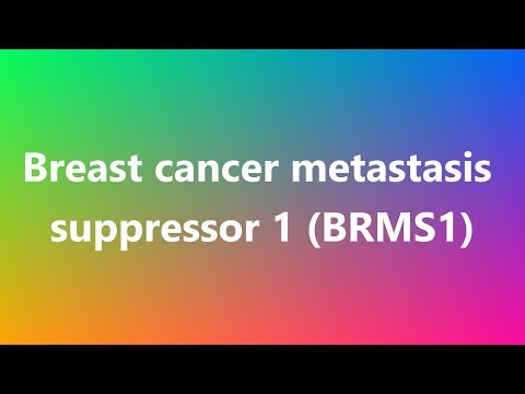 Breast cancer metastasis suppressor 1 (BRMS1) - Medical Definition and Pronunciation