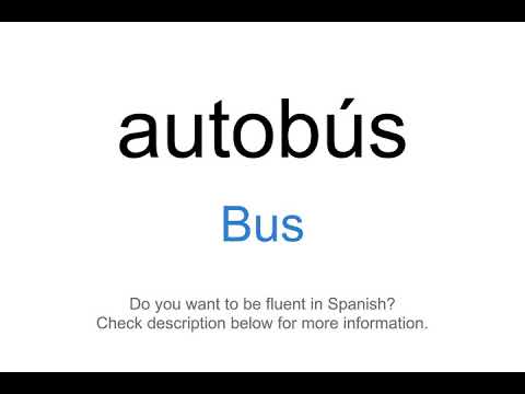 How to say "Bus" in Spanish | autobús