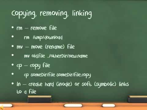 Basic Unix commands