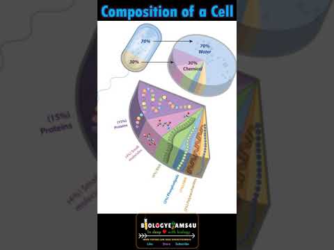 What is the Composition of a Cell? || Biologyxams4u