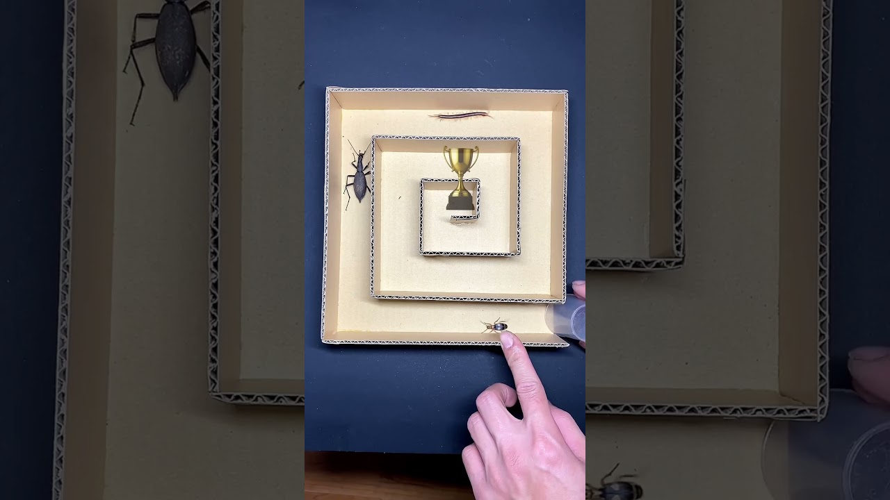 Beetle Wins the Mind Game #shorts