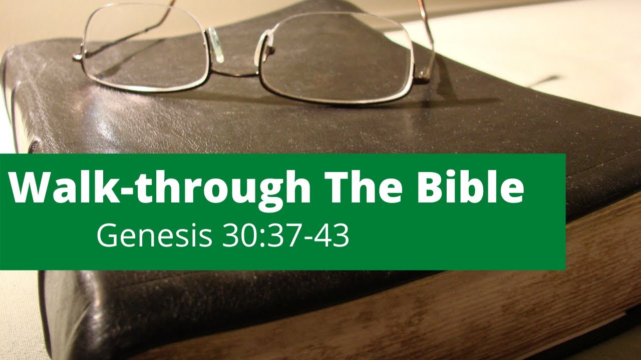 Walk-through The Bible: Genesis 30:37-43