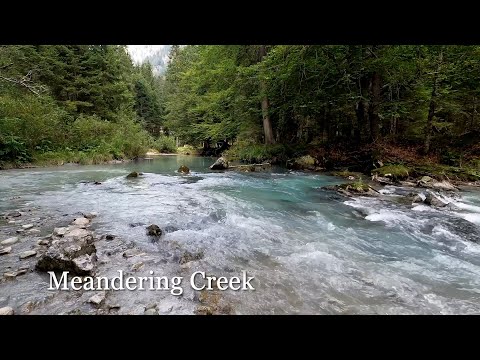 10 Hours of a Meandering Creek | Peaceful Water Sounds for Mental Health & Relaxation