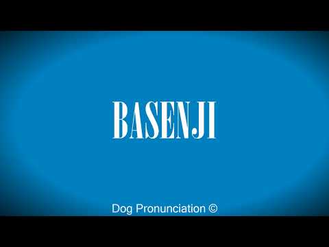 How to pronounce BASENJI