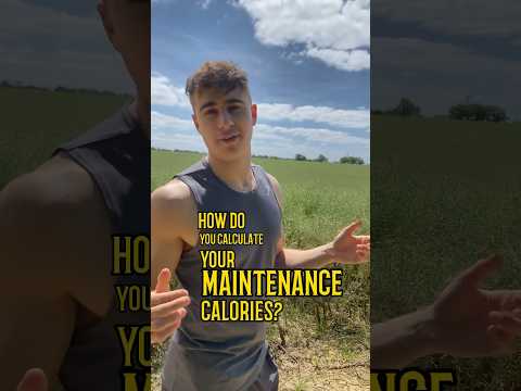 How to EASILY Calculate MAINTENANCE CALORIES #bodybuilding #strengthgains #fitness