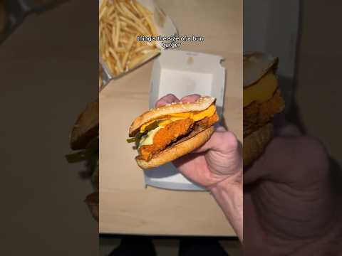 Is the New McDonald’s Menu worth buying? #mcdonalds #irish #fastfood