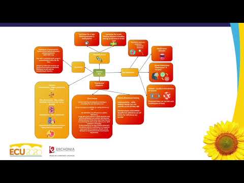 Vitamin B12 - an epidemic of misdiagnosis and missed diagnoses