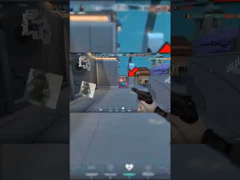 Steam Community :: Video :: yippee