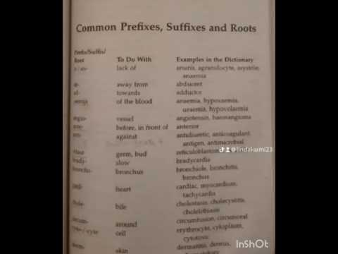 Medical terms prefix suffix root word nursing students must know