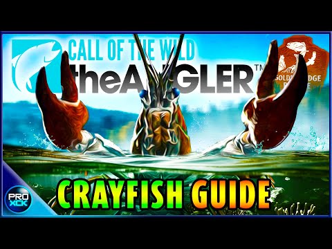 Signal Crayfish DIAMOND Guide! | How to Catch a Diamond Crayfish! - Call of the Wild the Angler