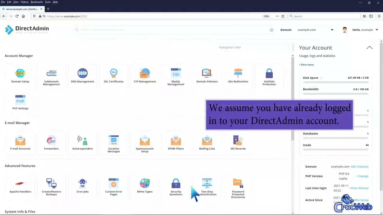 How to create a domain pointer in DirectAdmin - CrocWeb Cloud