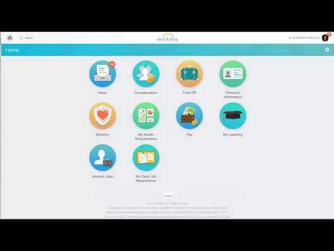 Understanding Errors vs Alerts in Workday