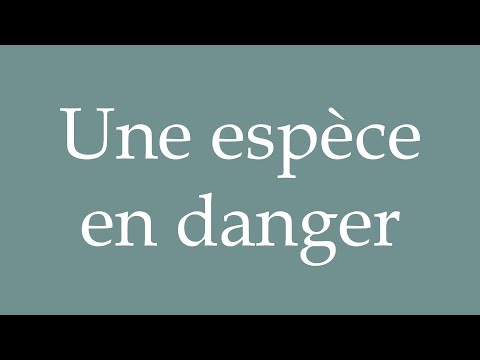 How to Pronounce ''Une espèce en danger'' (An endangered species) Correctly in French