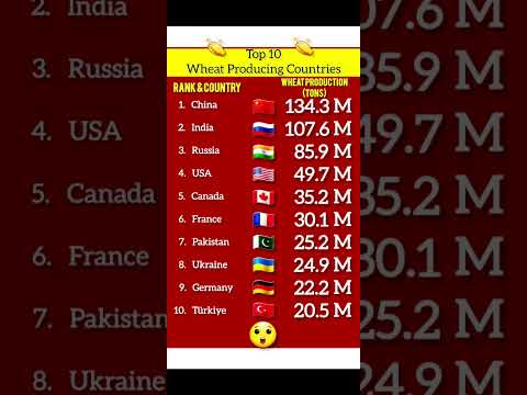 Top 10 Wheat Producing Countries in 2024 #wheat #countries #shorts