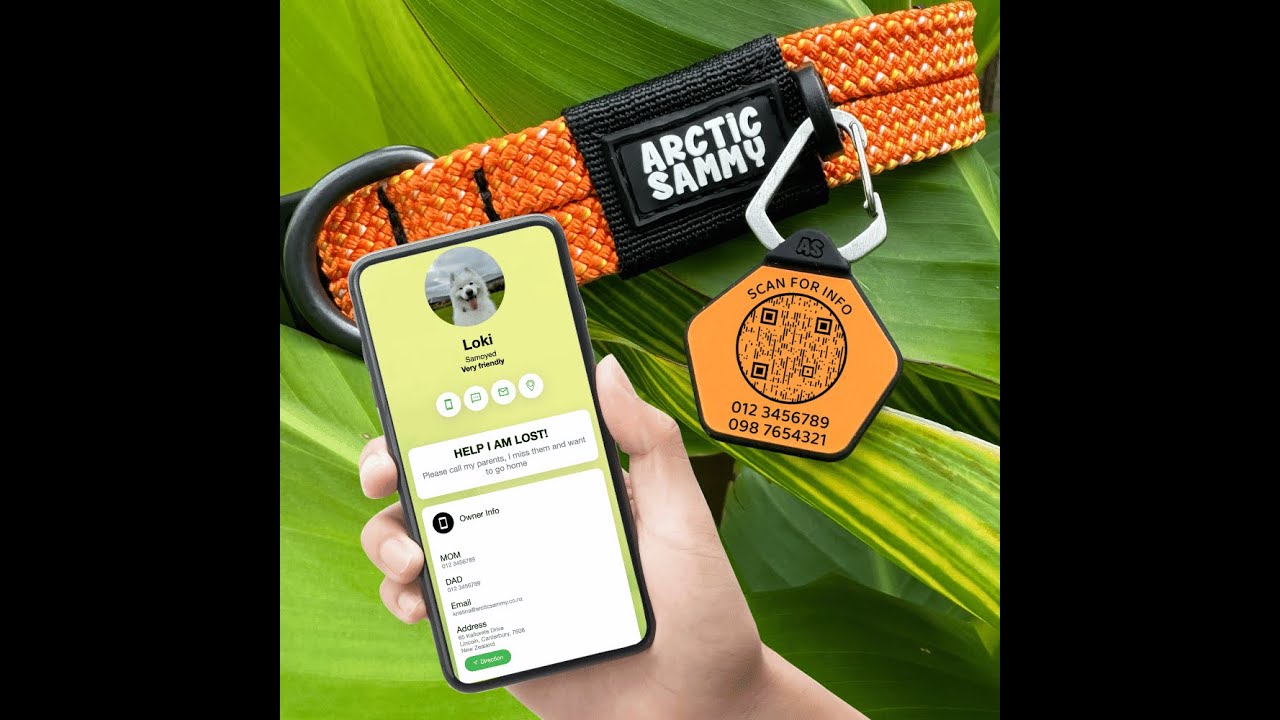 How to set up your Dog's QR Code ID Tag Page Tutorial