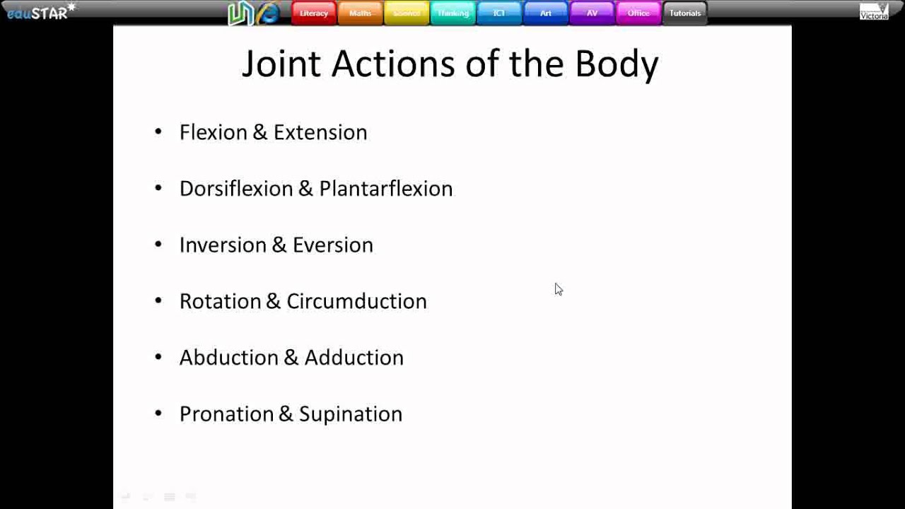 Unit 1 PE - Joint Classification and Actions