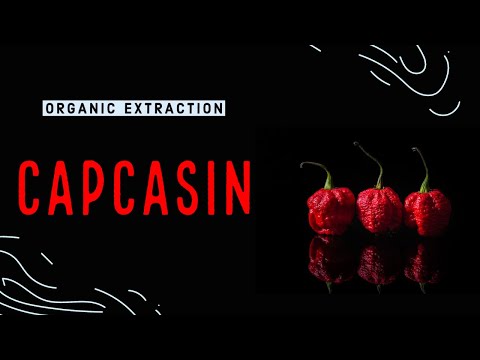 Extracting Capsaicin From Peppers