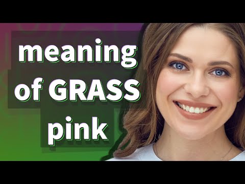 Grass pink | meaning of Grass pink